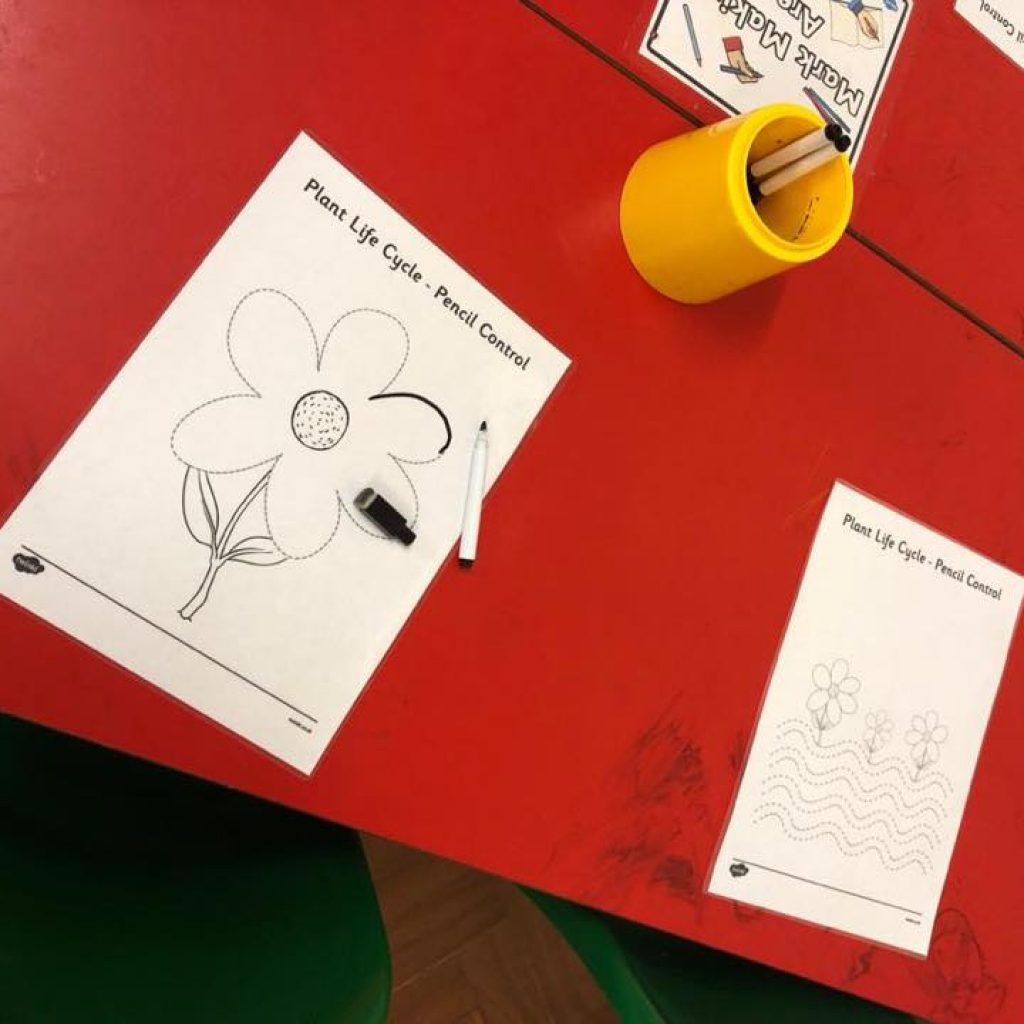 This Week – Plant Life Cycle – Roman River Pre-School